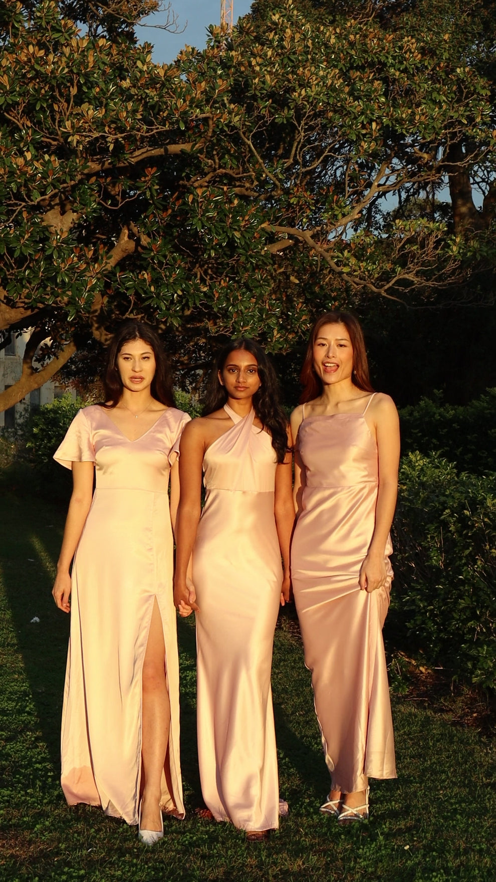 Dilini - Blush – Amei